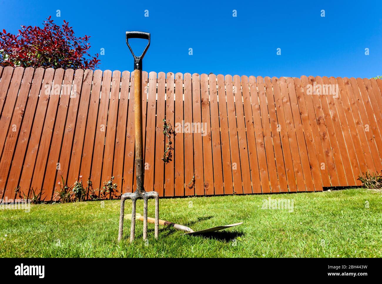 Grass Lawn Fork High Resolution Stock Photography and Images - Alamy