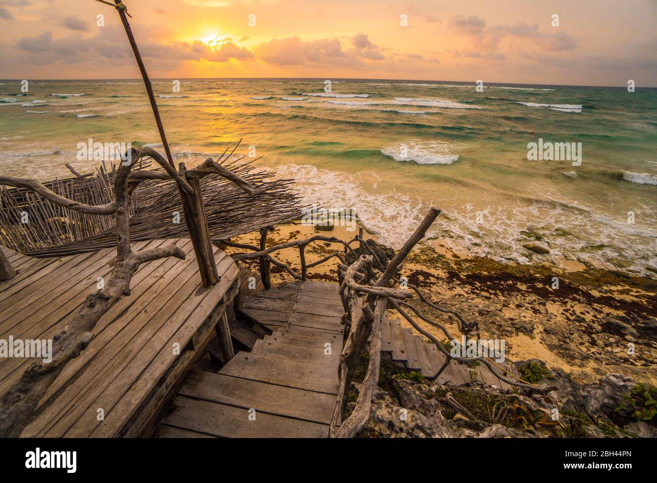 Jungle pathway hi-res stock photography and images - Alamy