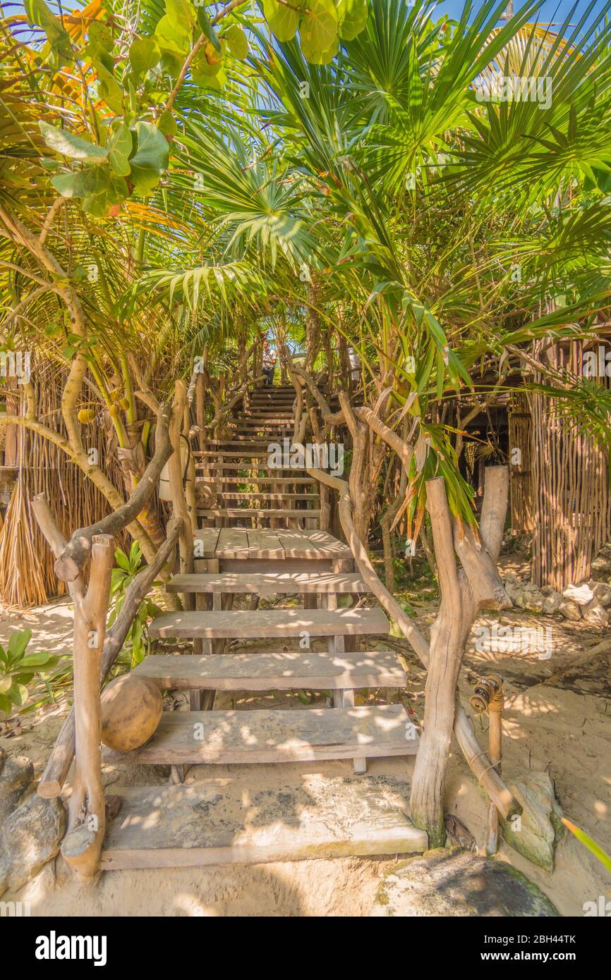 Jungle pathway hi-res stock photography and images - Alamy