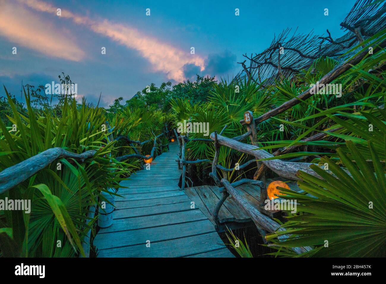 Jungle pathway hi-res stock photography and images - Alamy
