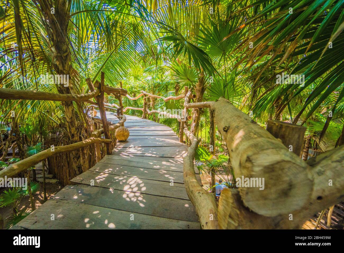 Jungle pathway hi-res stock photography and images - Alamy