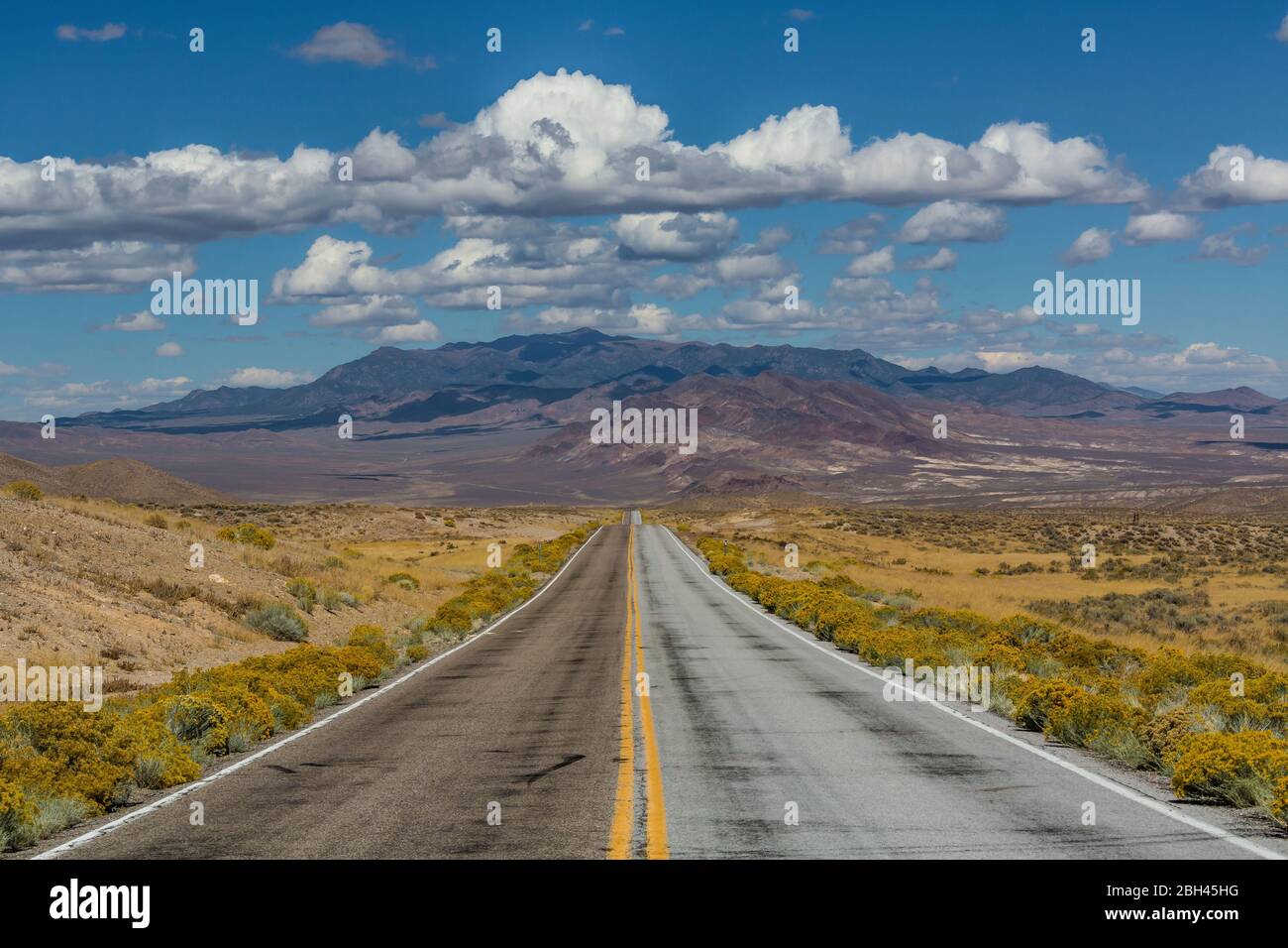 Lonely road leading to Berlin-Ichthyosaur State Park, Nevada, USA Stock ...