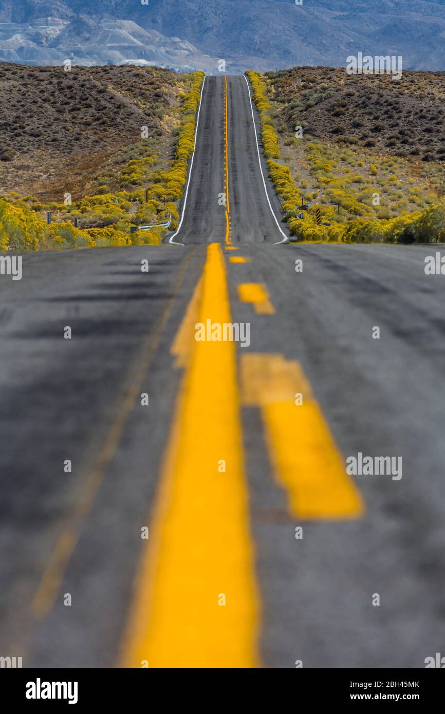 Lonely road leading to Berlin-Ichthyosaur State Park, Nevada, USA Stock ...