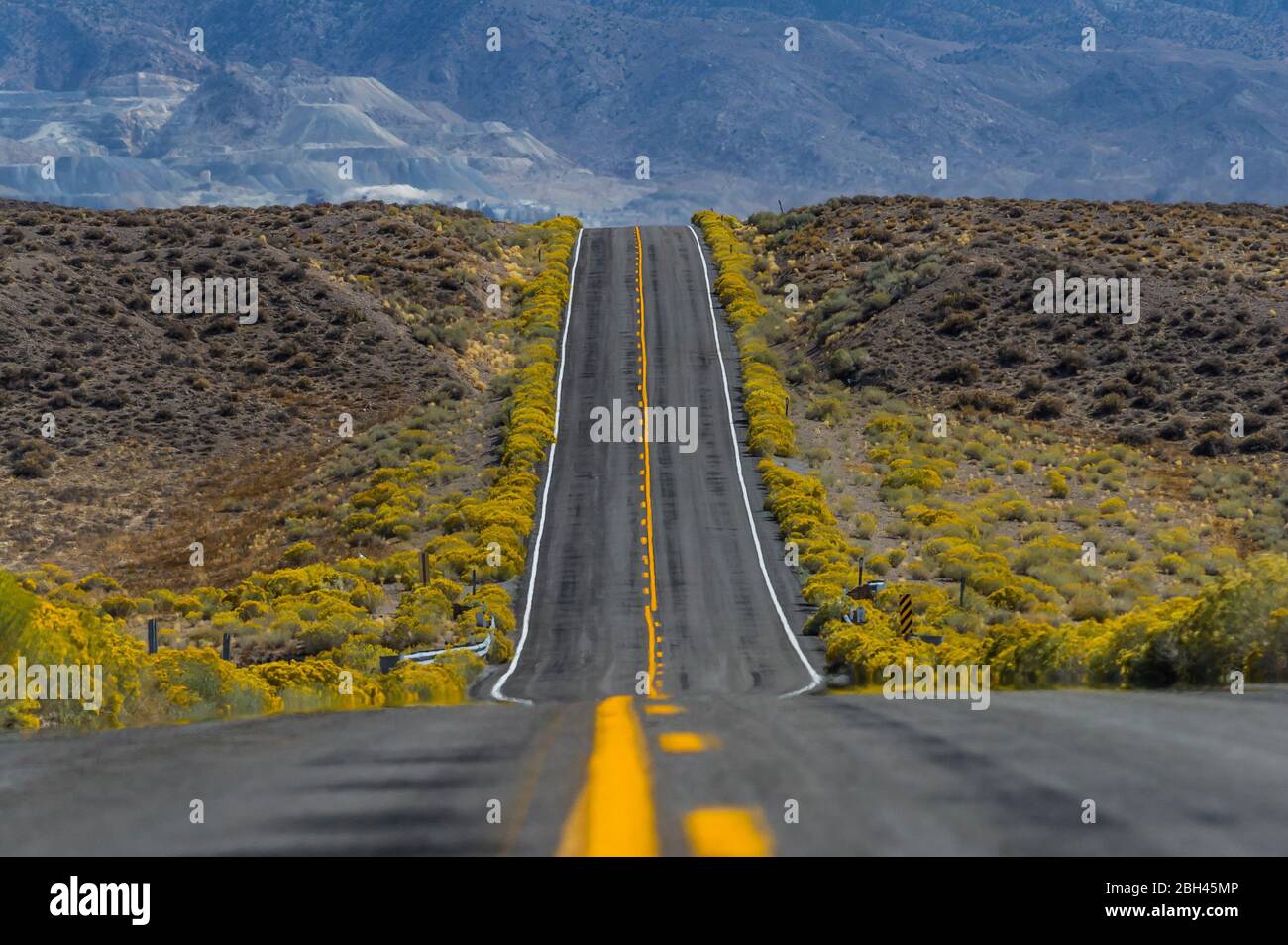 Lonely road leading to Berlin-Ichthyosaur State Park, Nevada, USA Stock ...