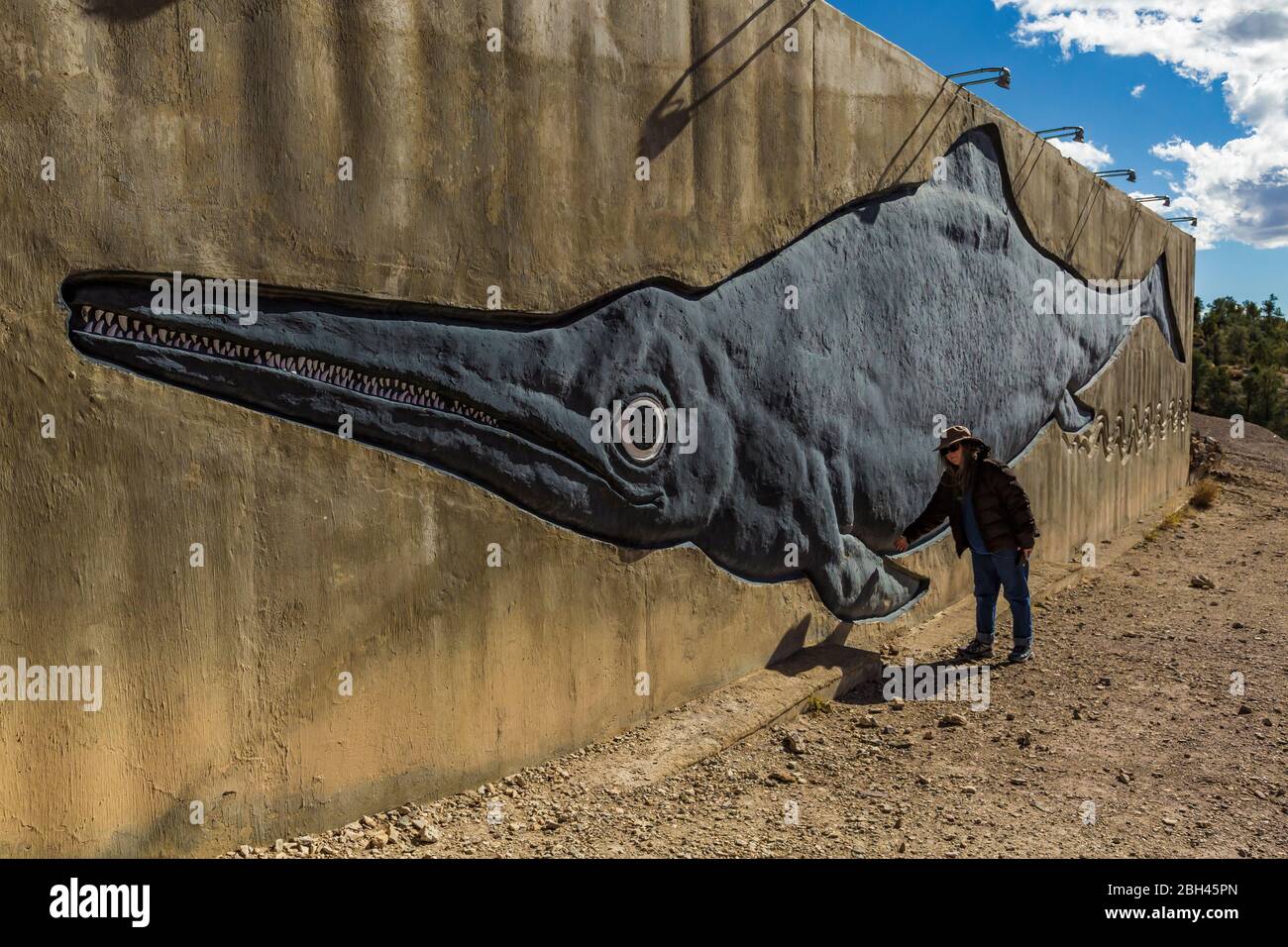 Ichthyosaur, Shonisaurus popularis, quarry of giant marine reptile ...