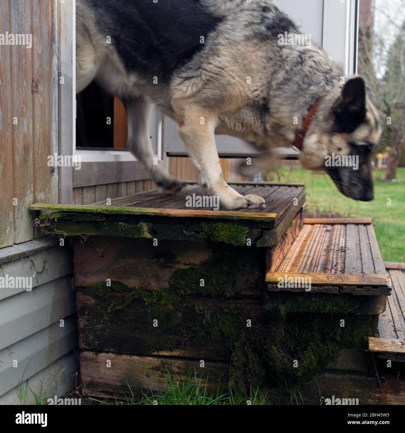 Running out of house hi-res stock photography and images - Alamy