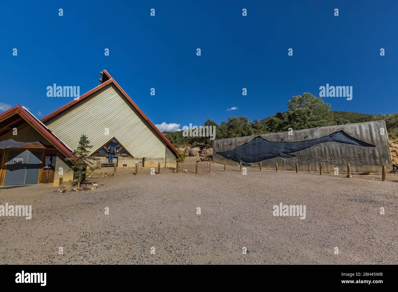 Ichthyosaur, Shonisaurus popularis, quarry of giant marine reptile ...