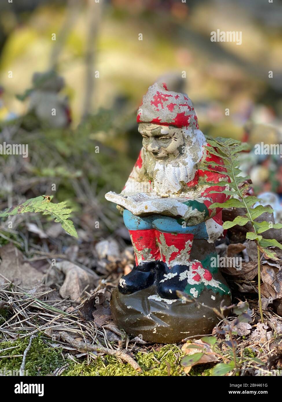 Old Santa is reading in forest Stock Photo - Alamy