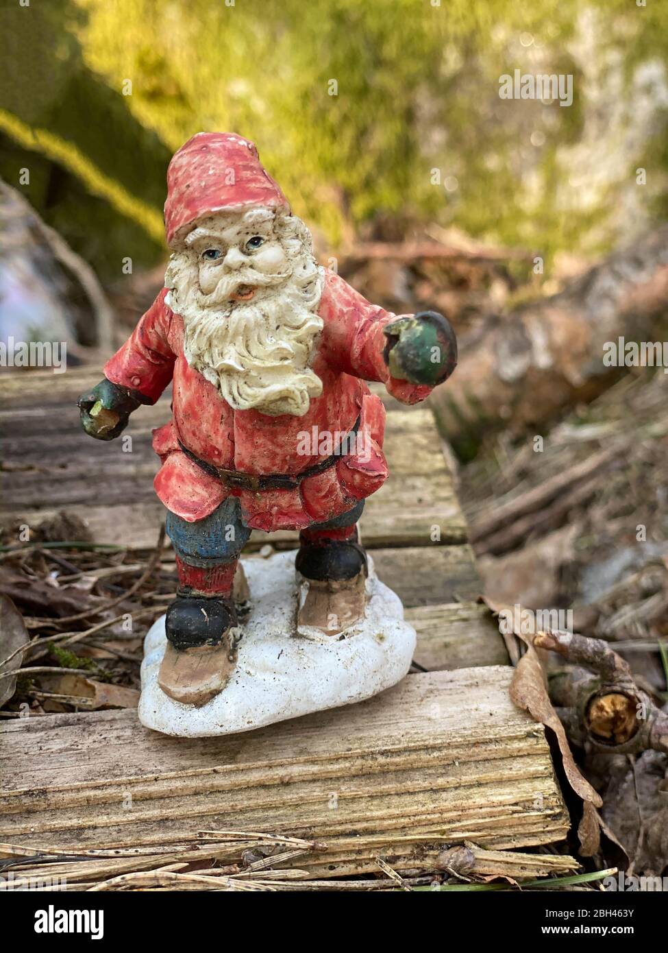 Santa walking in forest Stock Photo - Alamy