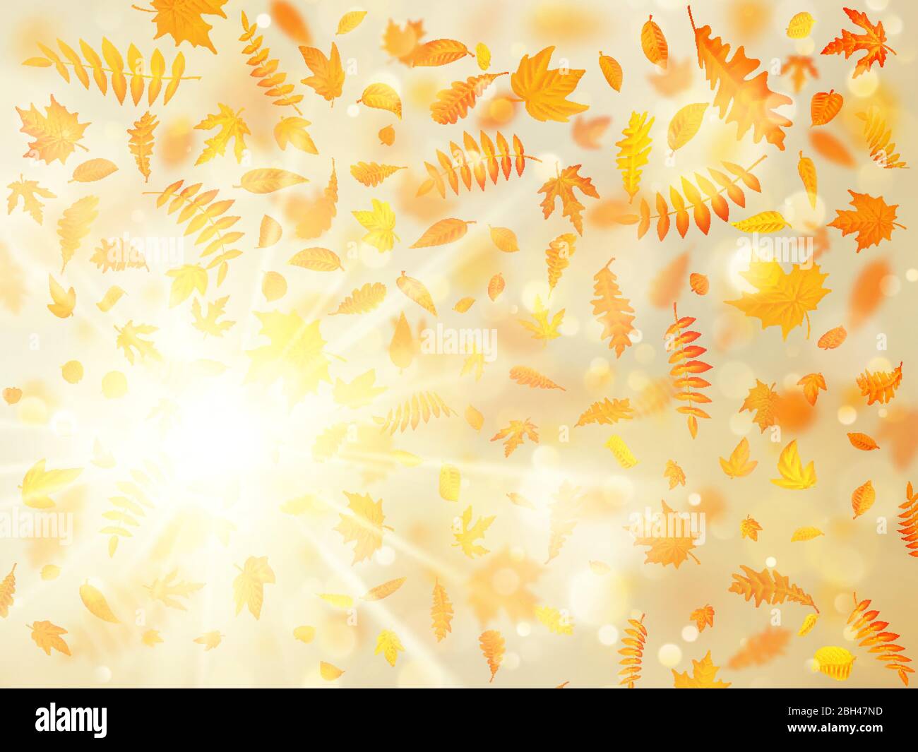 Beautiful autumn background with maple autumn leaves and delicate sun ...