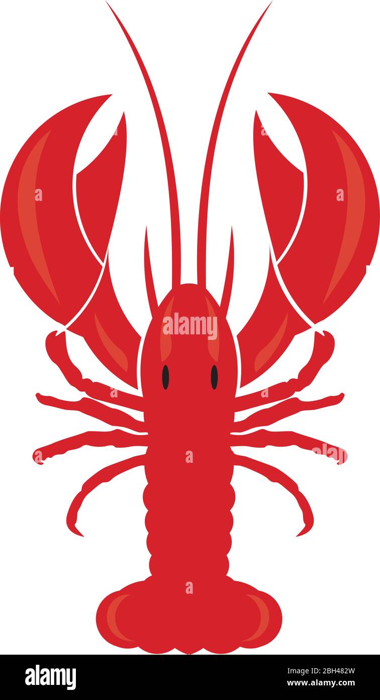 Claw logo hi-res stock photography and images - Alamy