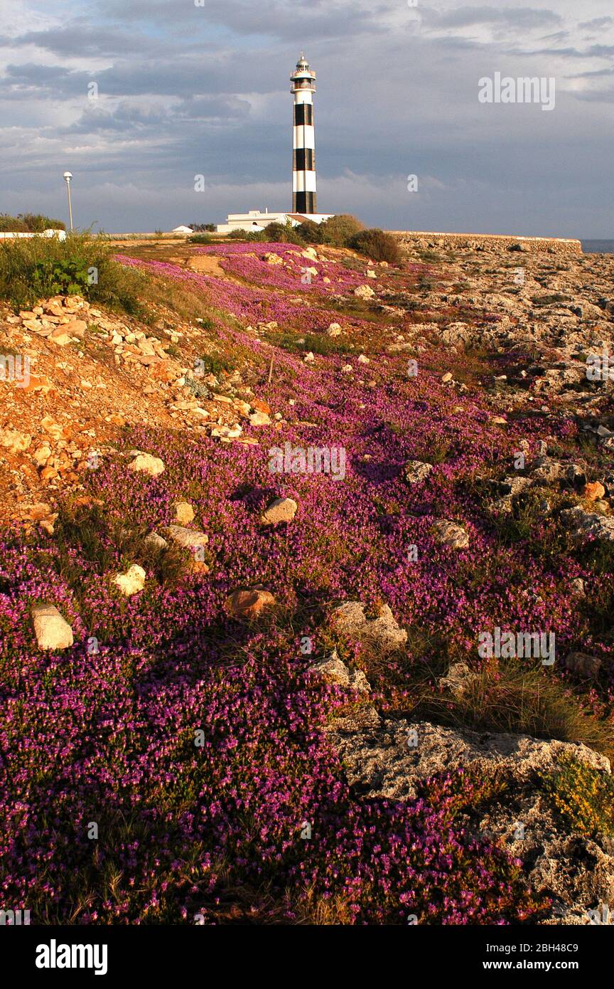 Faro Cap D' Artrutx, Menorca, Islas Baleares. Spain Stock Photo - Alamy