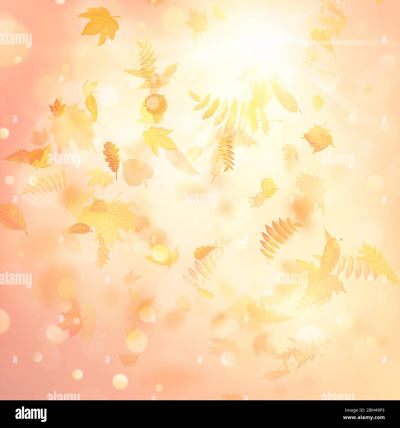 Autumn background with leaves. Back to school template. EPS 10 Stock ...