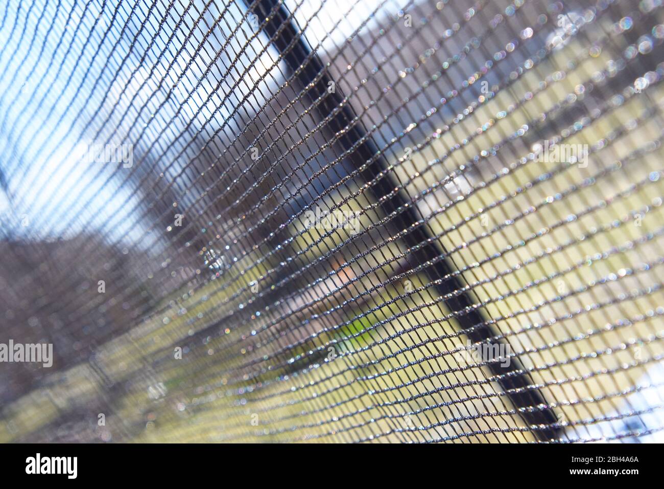 Black fabric net in narrow focus Stock Photo - Alamy