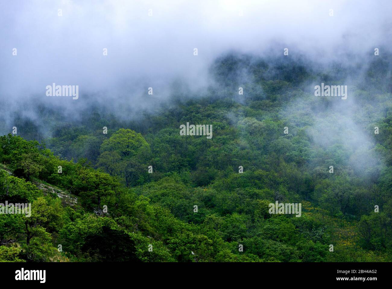 Majestic view on beautiful fog mountains in mist landscape. Dramatic ...