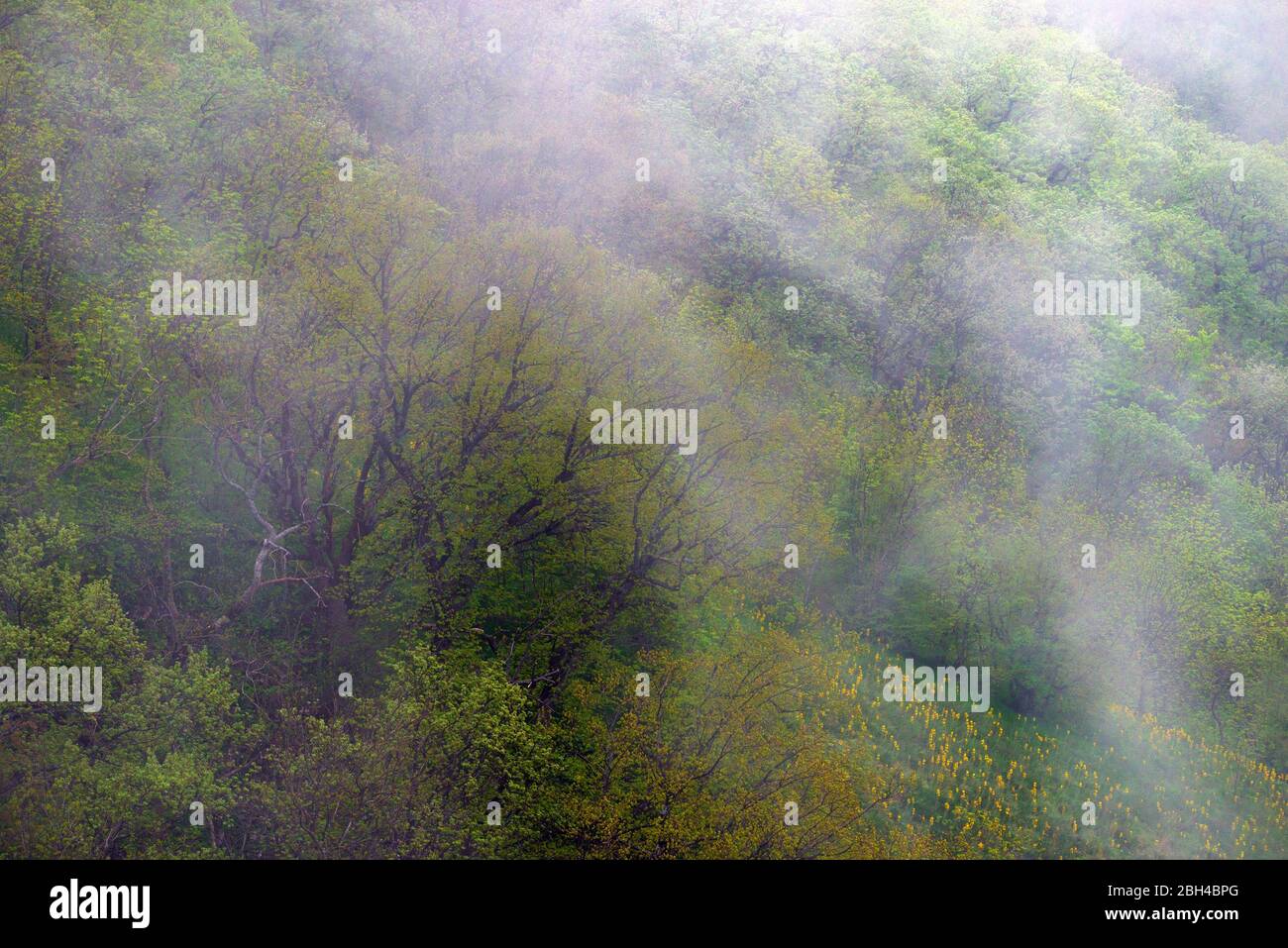 Majestic view on beautiful fog mountains in mist landscape. Dramatic ...
