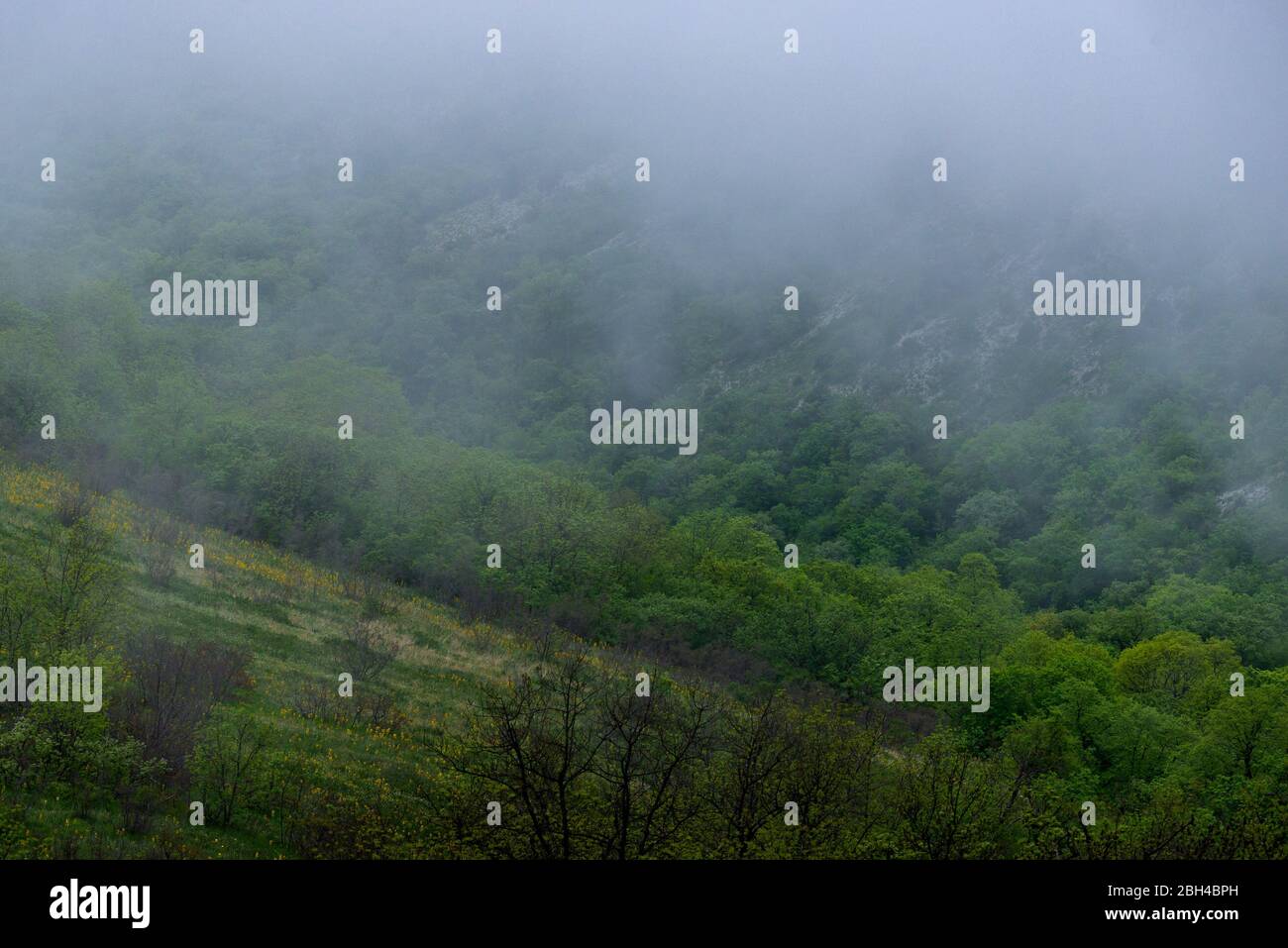 Majestic view on beautiful fog mountains in mist landscape. Dramatic ...