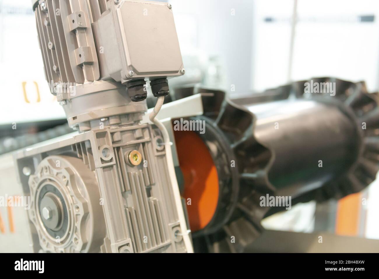 .Belt conveyor for sorting garbage. Conveyor belt for waste separation ...