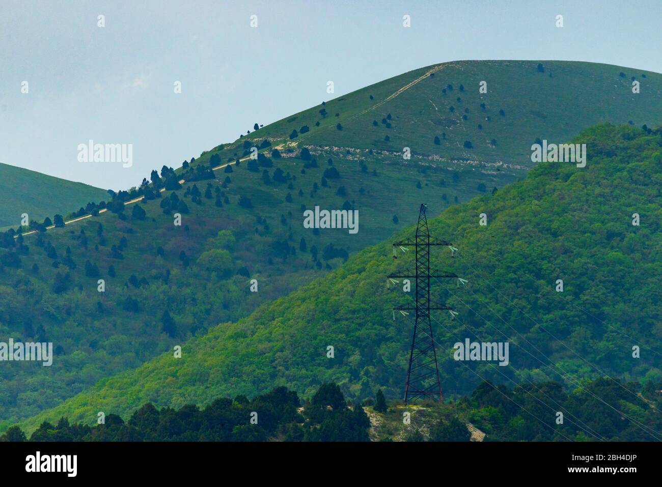 High voltage power lines in mountain forest Stock Photo - Alamy