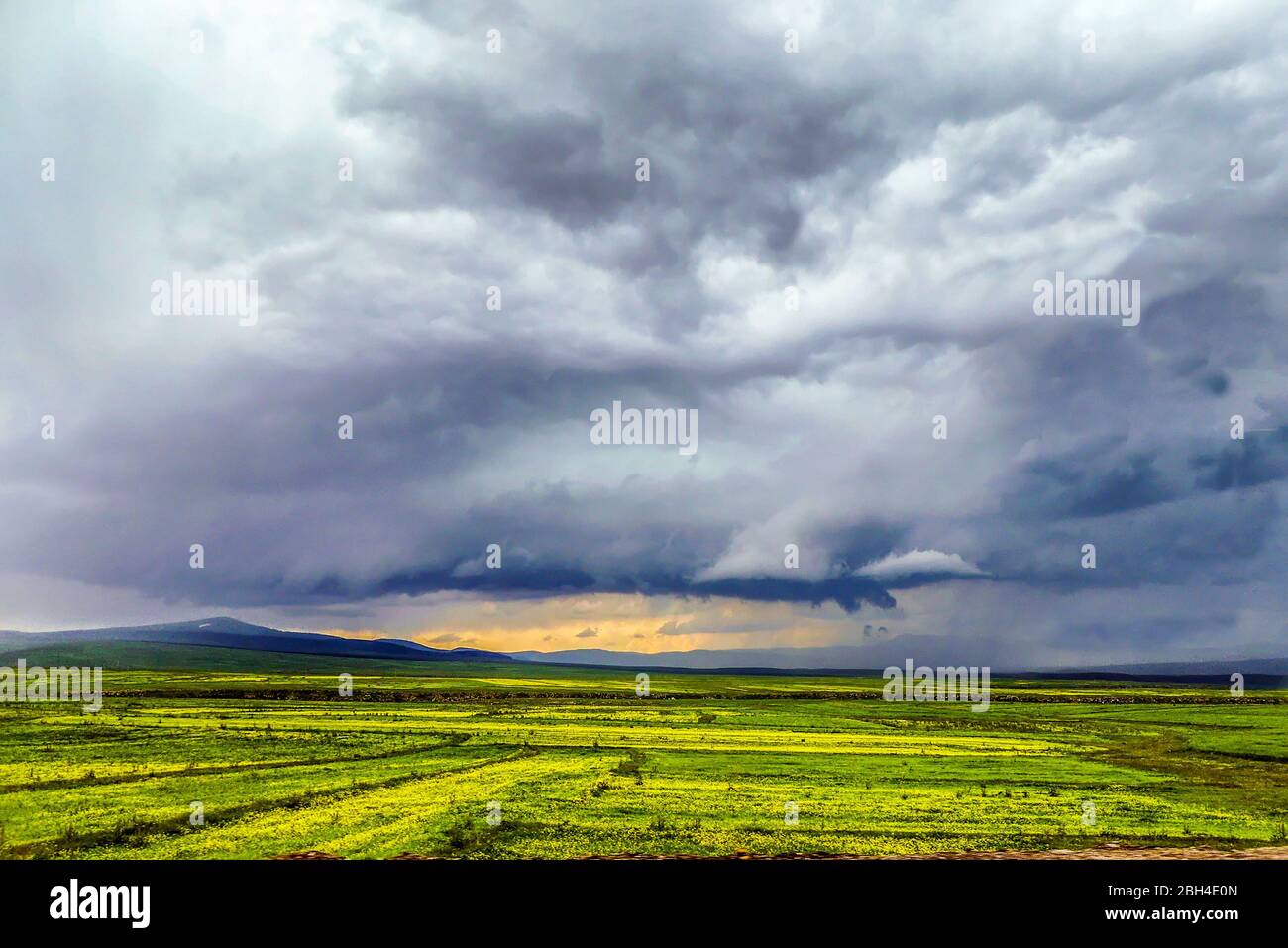 Open Field landscape in Eastern Anatolia Turkey , western Armenia Stock ...