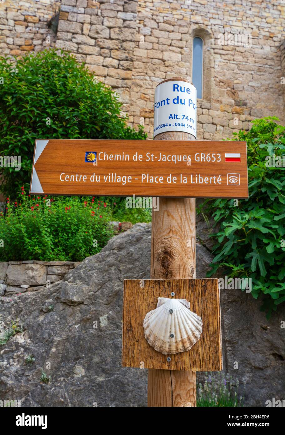 St james shell hi-res stock photography and images - Alamy