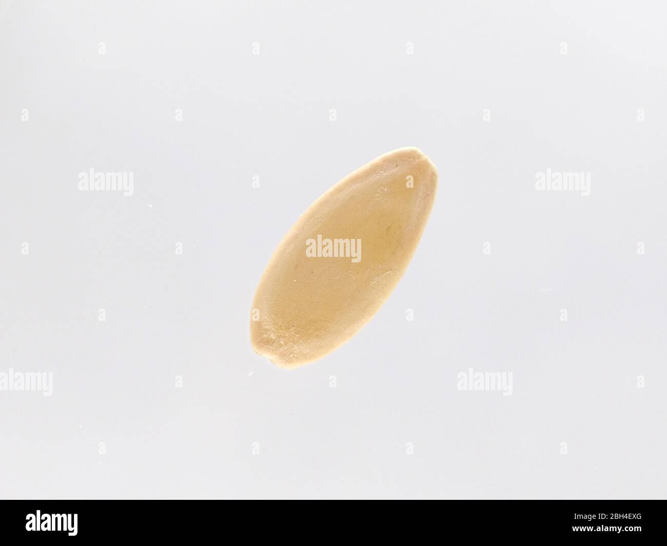 Cucumber seed hi-res stock photography and images - Alamy