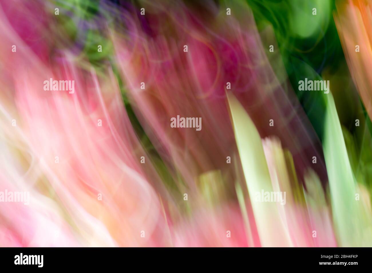 Spring motion hi-res stock photography and images - Alamy