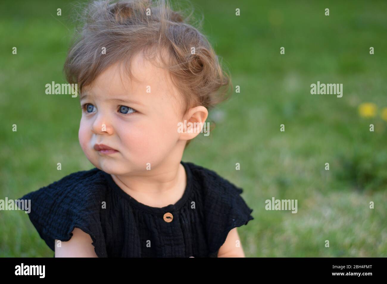 baby staring in garden Stock Photo - Alamy