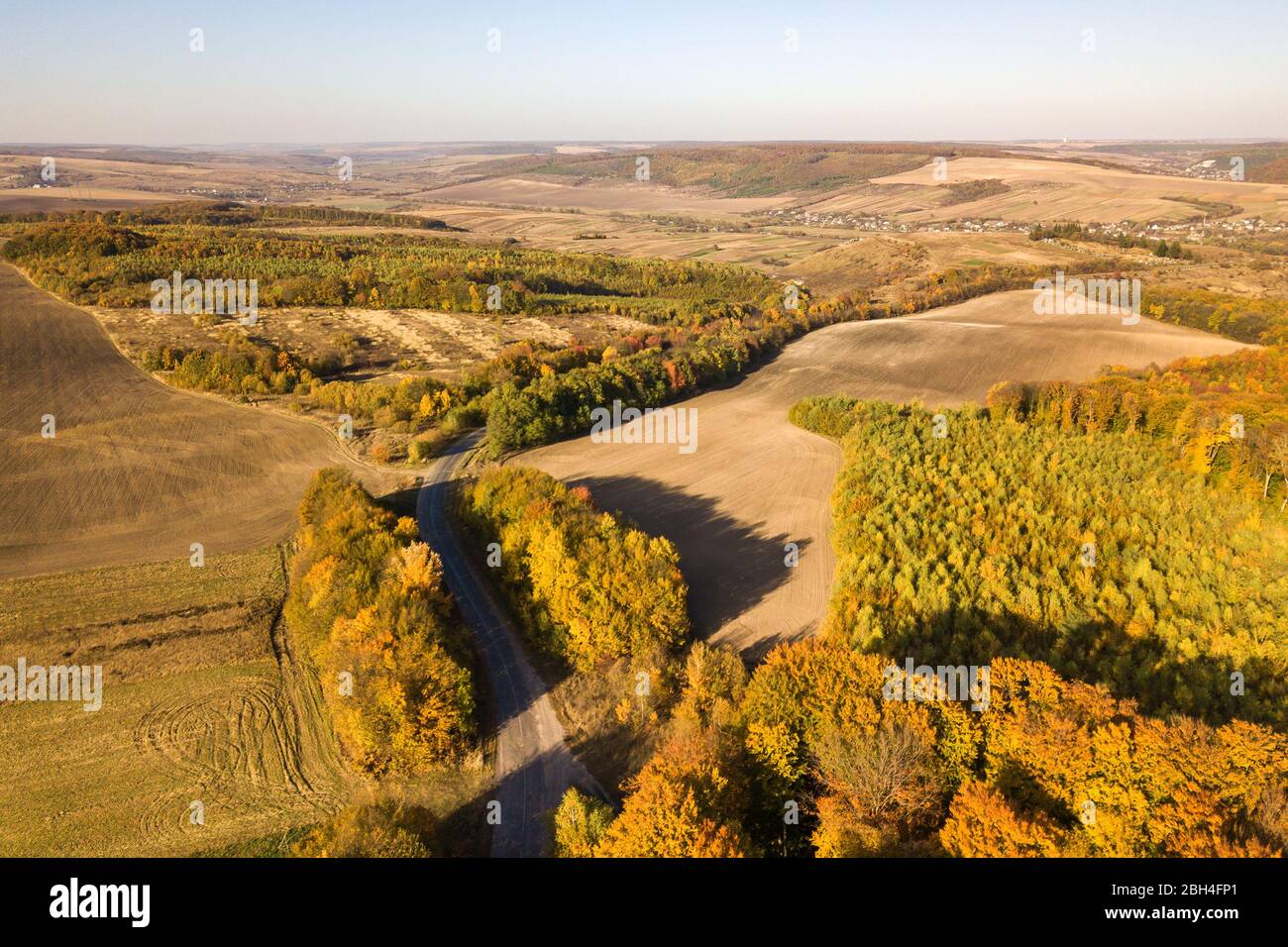 Top down aerial view of green and yellow canopies in autumn forest with ...