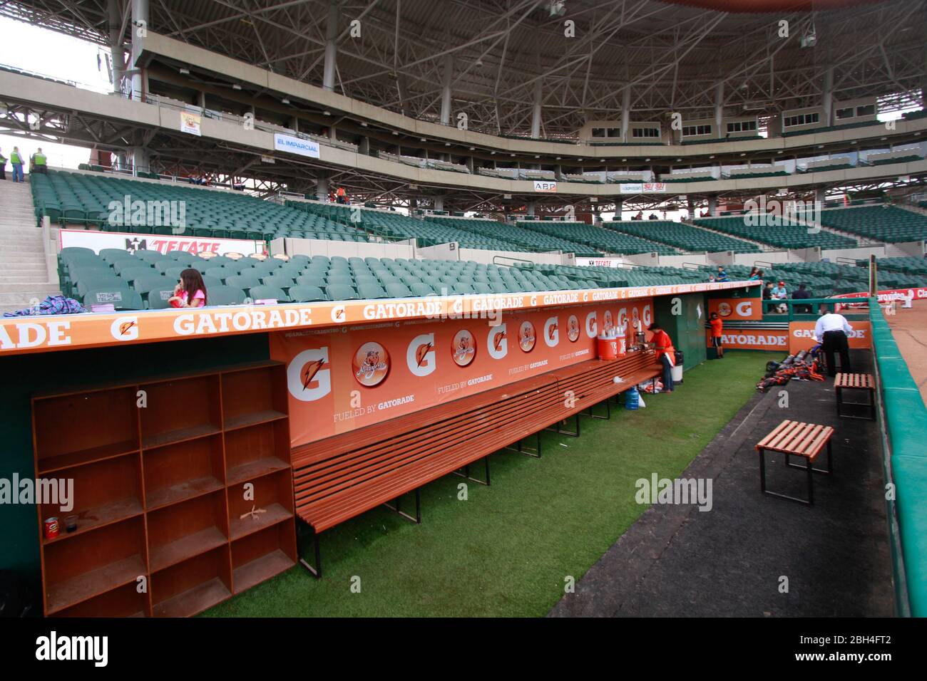 Gradas de estadio beisbol hi-res stock photography and images - Alamy
