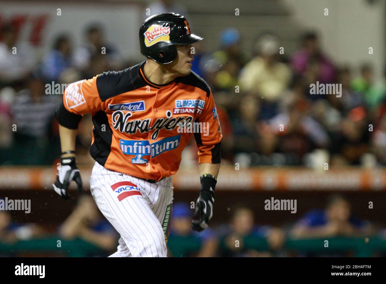 Beisbol invernal hi-res stock photography and images - Alamy