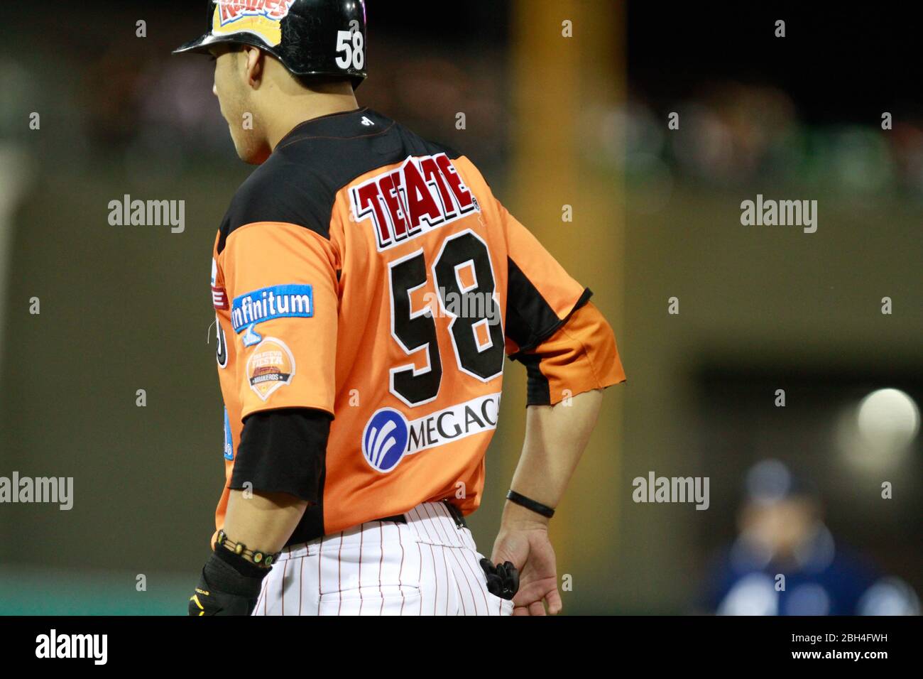 Beisbol invernal hi-res stock photography and images - Alamy