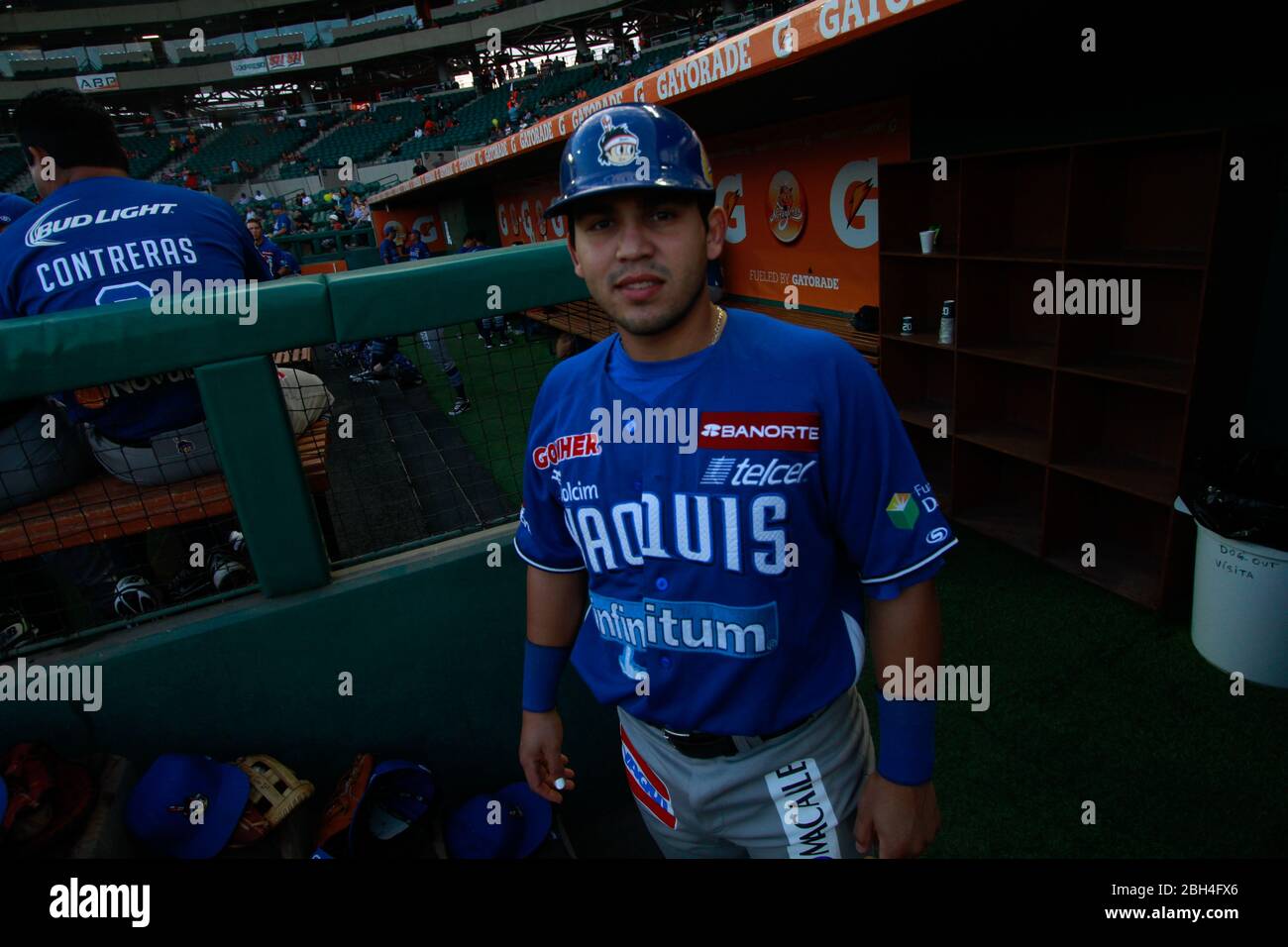Baseball, Beisbol. LMP, liga mexicana del Pacifico. 18 nov 2013 Stock ...