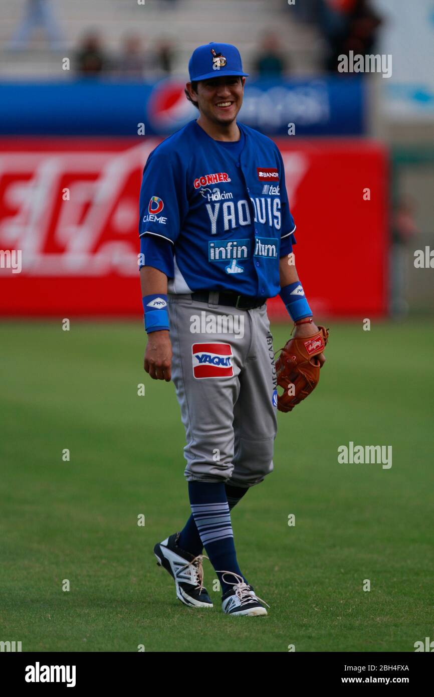 Baseball, Beisbol. LMP, liga mexicana del Pacifico. 18 nov 2013 Stock ...