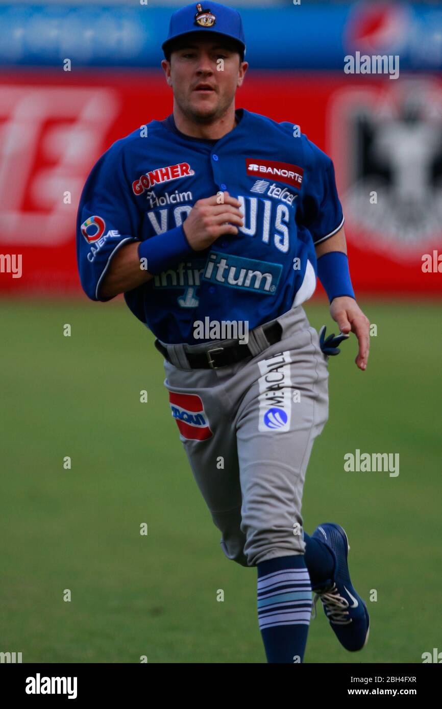 Baseball, Beisbol. LMP, liga mexicana del Pacifico. 18 nov 2013 Stock ...