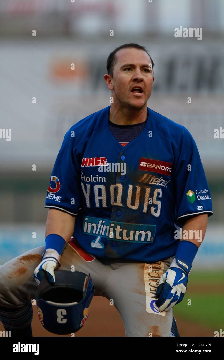 Baseball, Beisbol. LMP, liga mexicana del Pacifico. 18 nov 2013 Stock ...