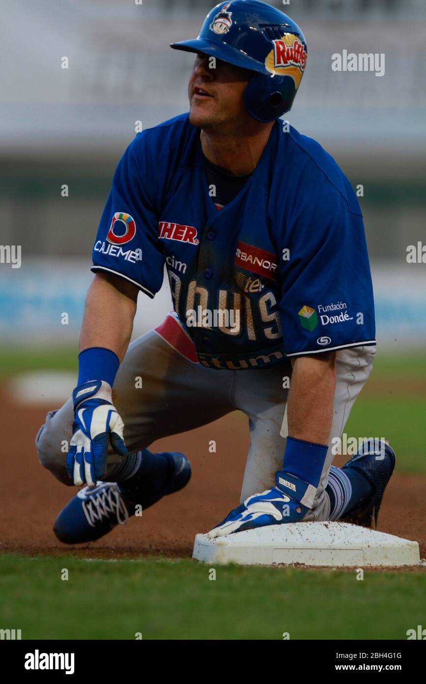Baseball, Beisbol. LMP, liga mexicana del Pacifico. 18 nov 2013 Stock ...
