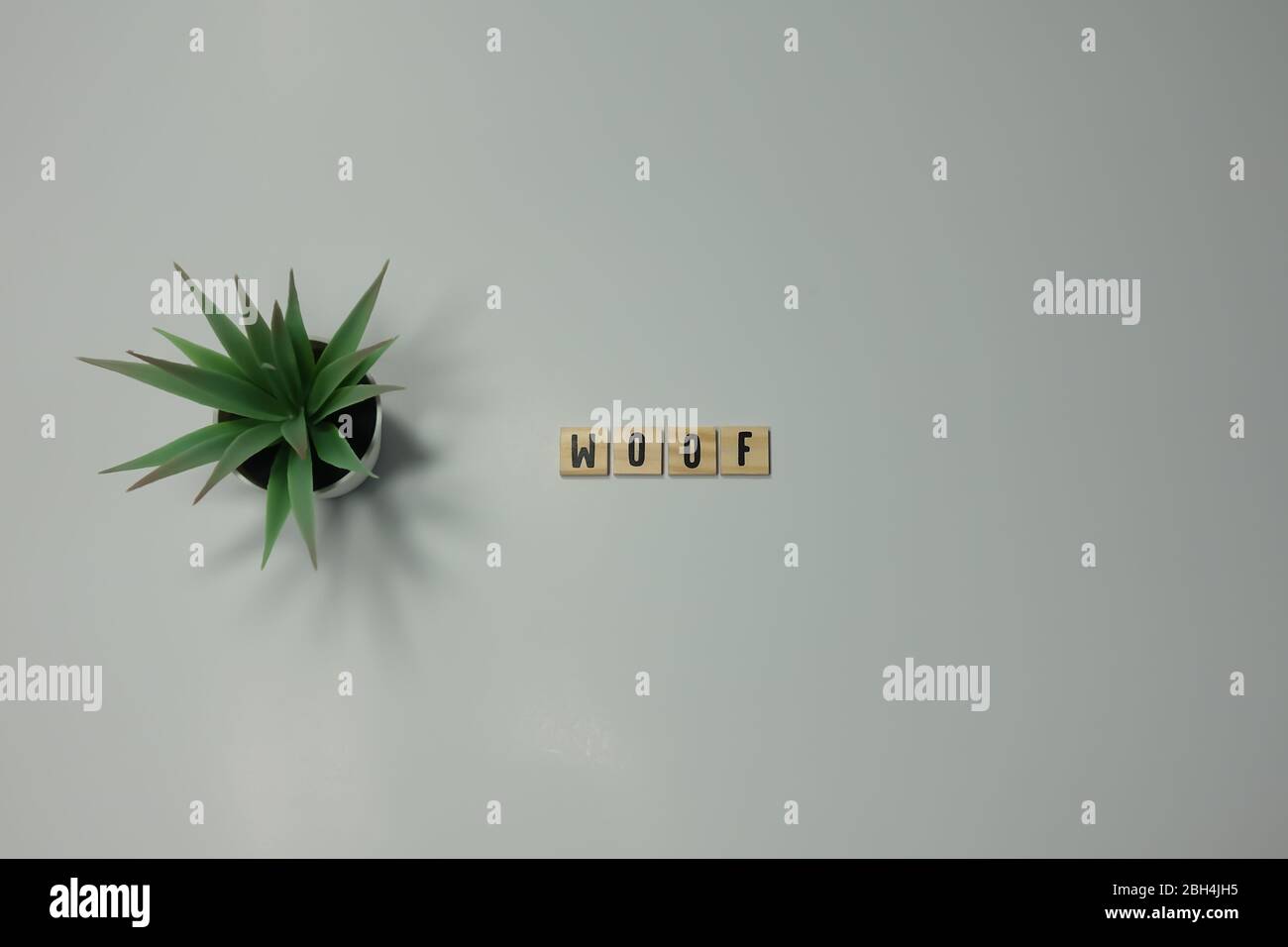 The word Woof written in wooden letter tiles on a white background ...