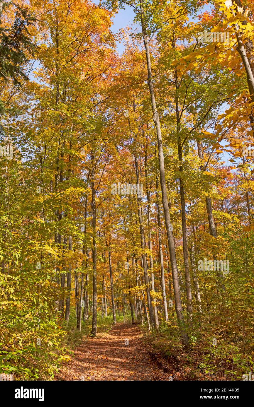 Louis groen hi-res stock photography and images - Alamy