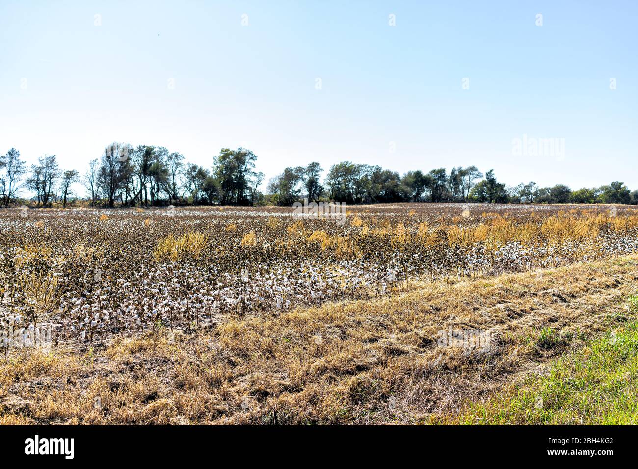 Drought southern plains usa hi-res stock photography and images - Alamy