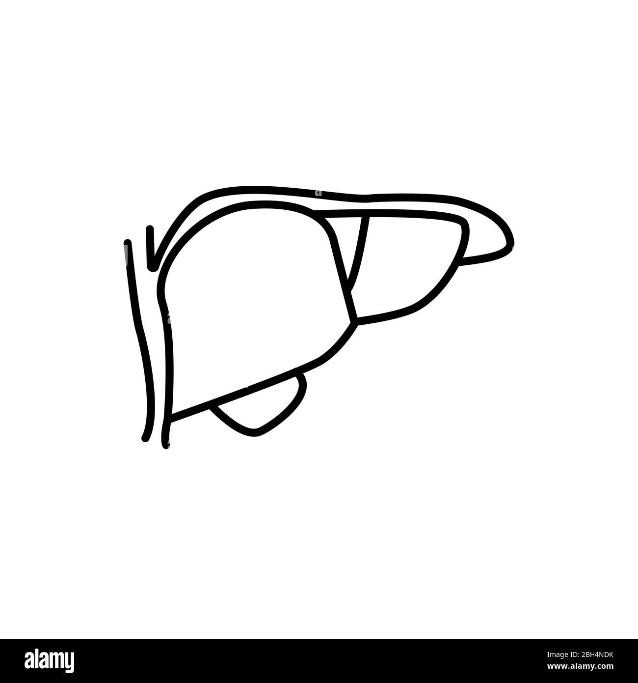 Hepatocyte hi-res stock photography and images - Alamy