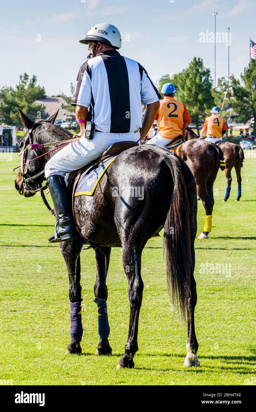 Polo referee his horse hi-res stock photography and images - Alamy