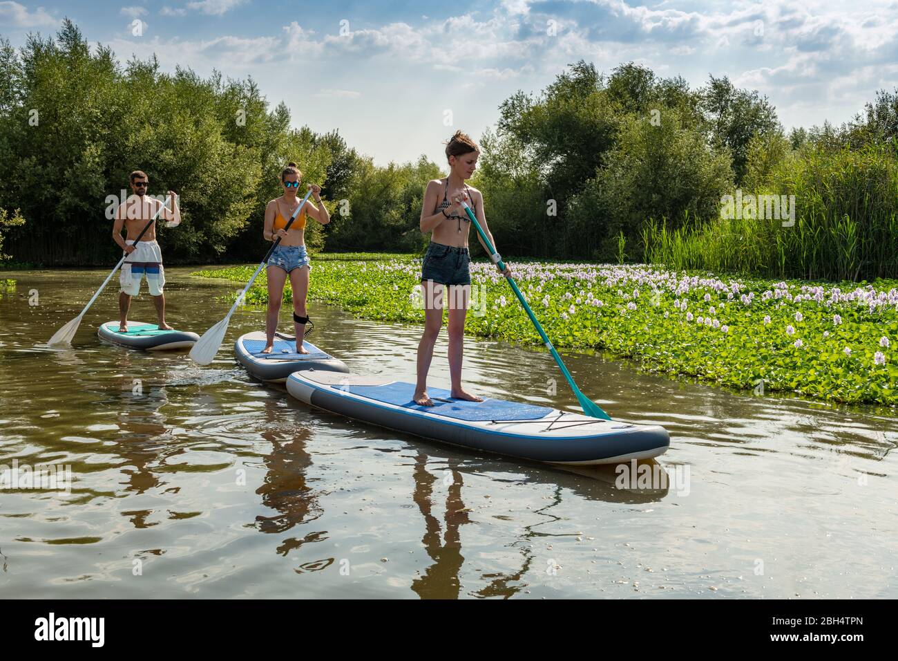 Man and women stand up paddleboarding on lake. Watersport on lake. Male ...