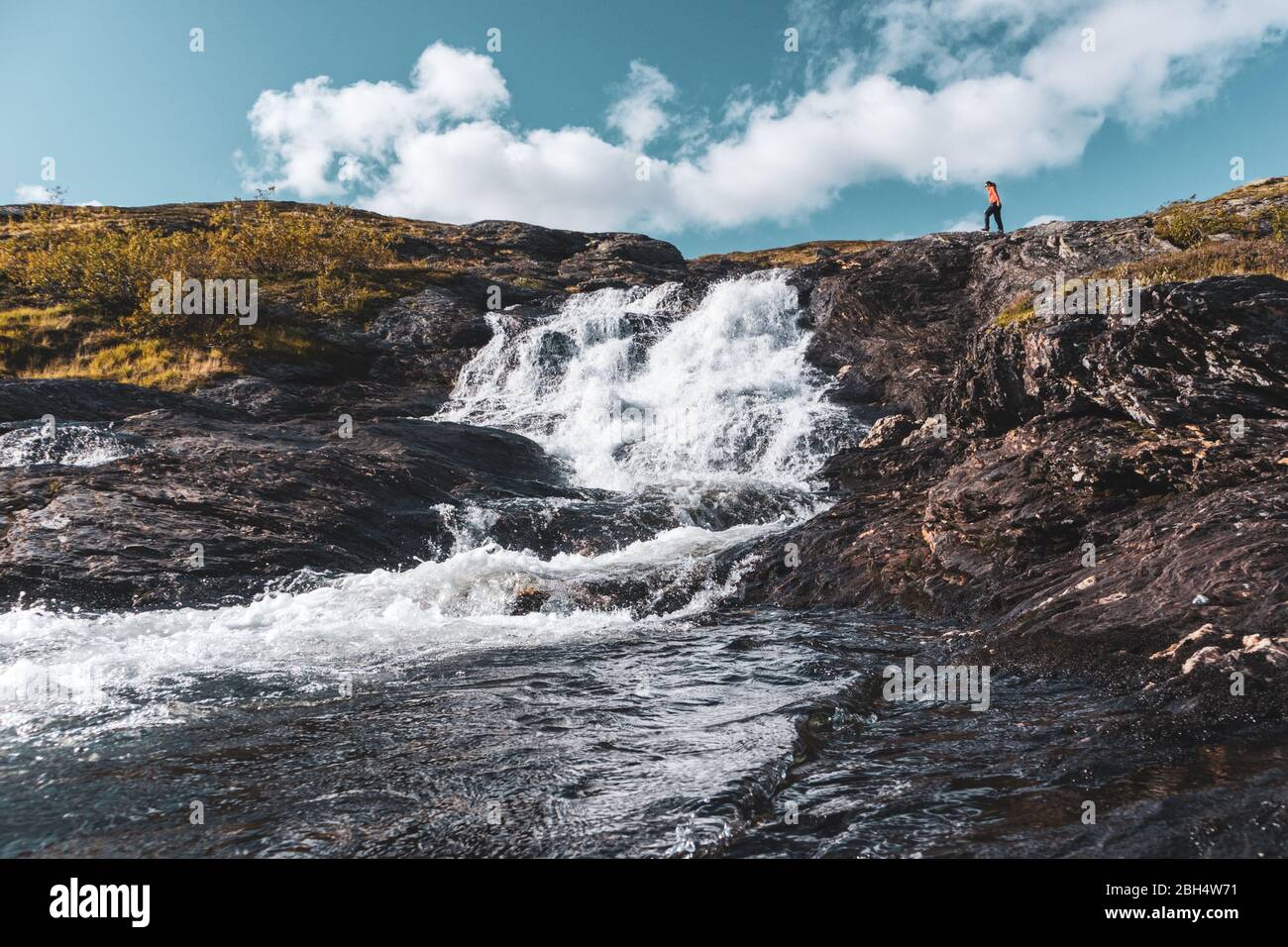 Sunny white scenic norwegian powerful river cascade waterfall with dark ...