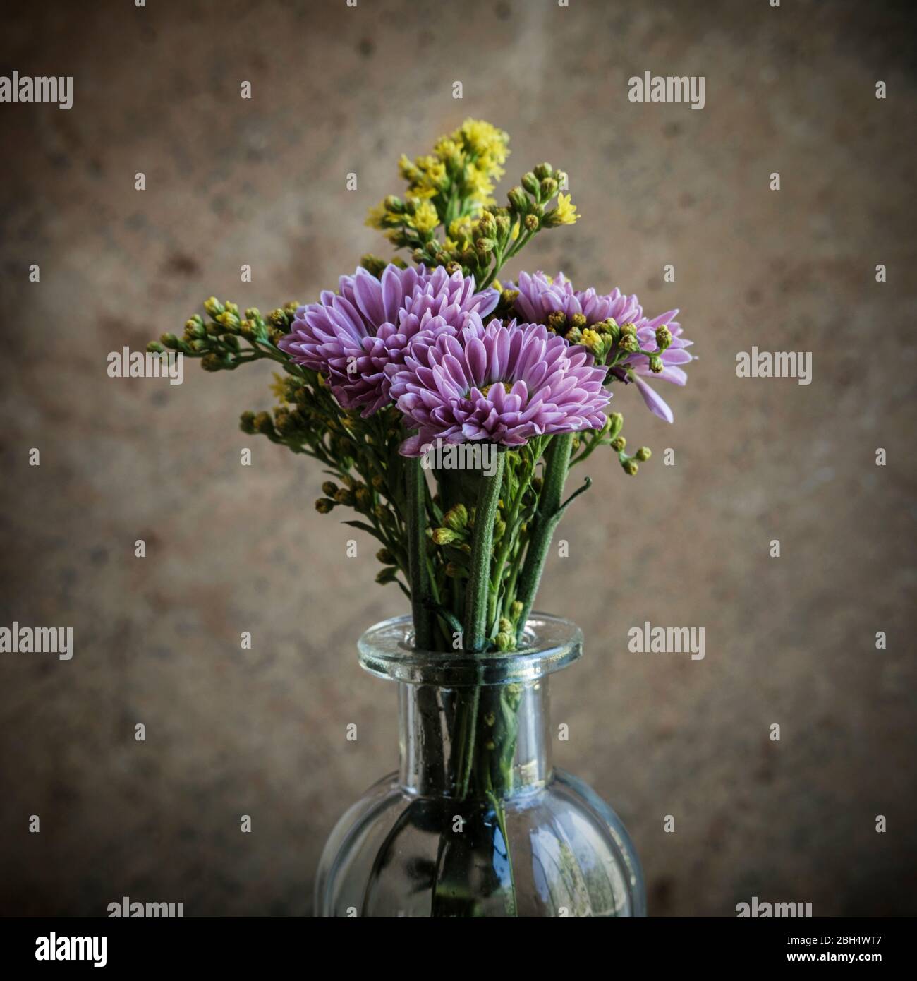 Purple flowers in vase Stock Photo - Alamy