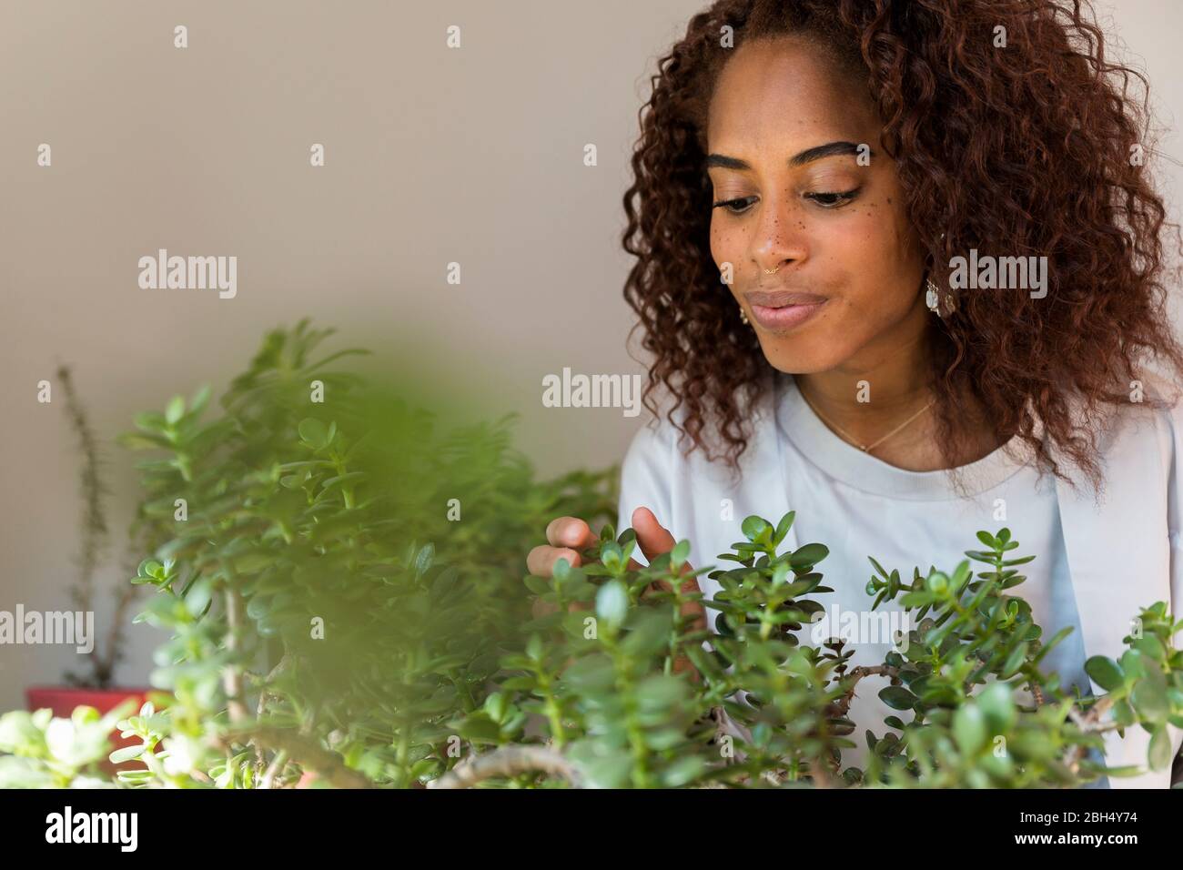 Woman touching plants Stock Photo - Alamy