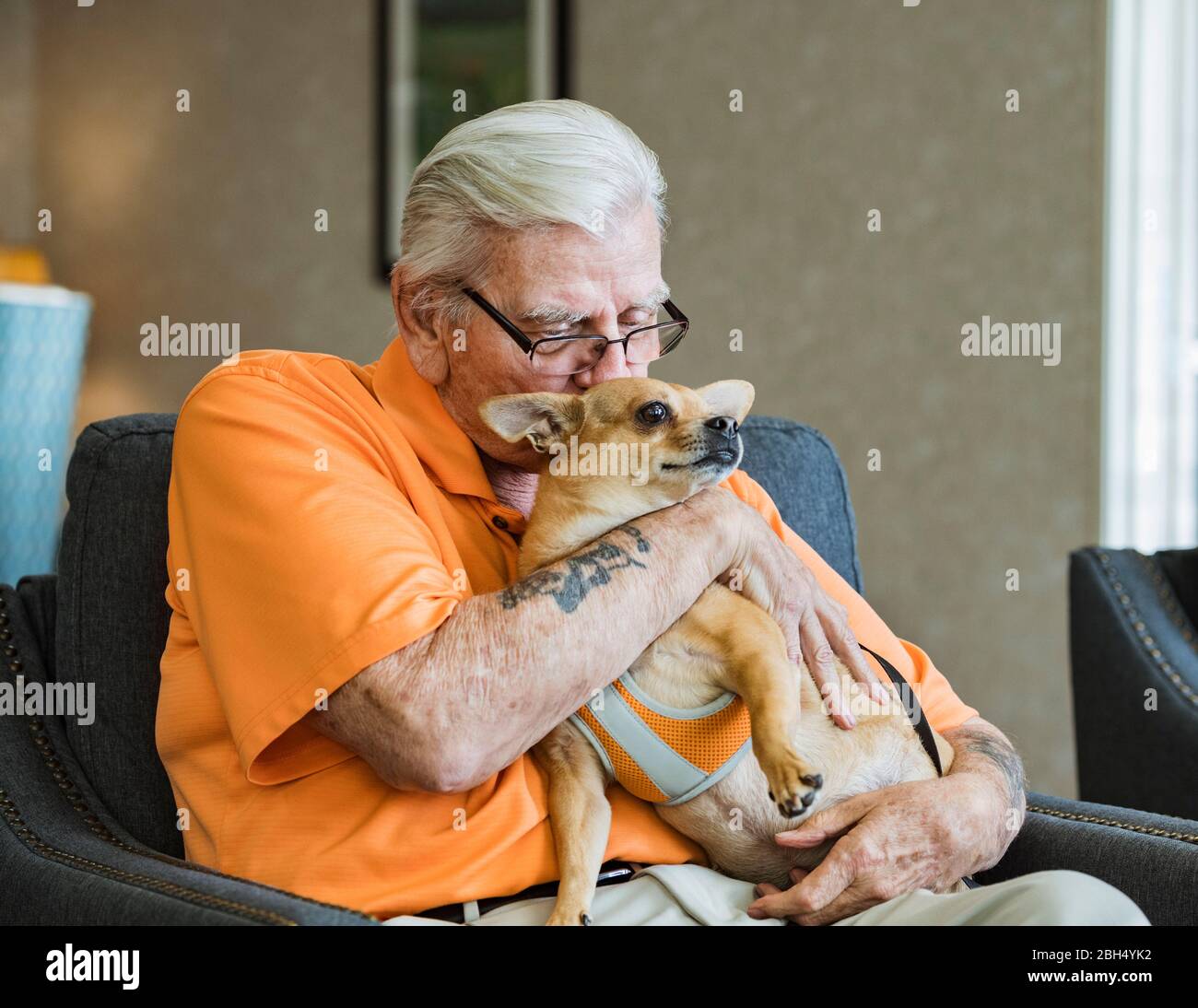 Senior man holding dog Stock Photo - Alamy