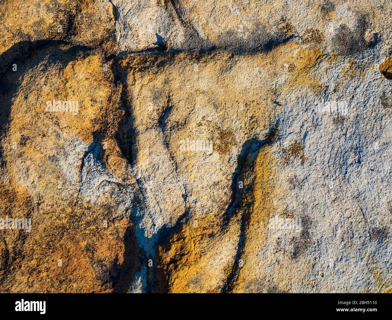 Formation of lichen hi-res stock photography and images - Alamy