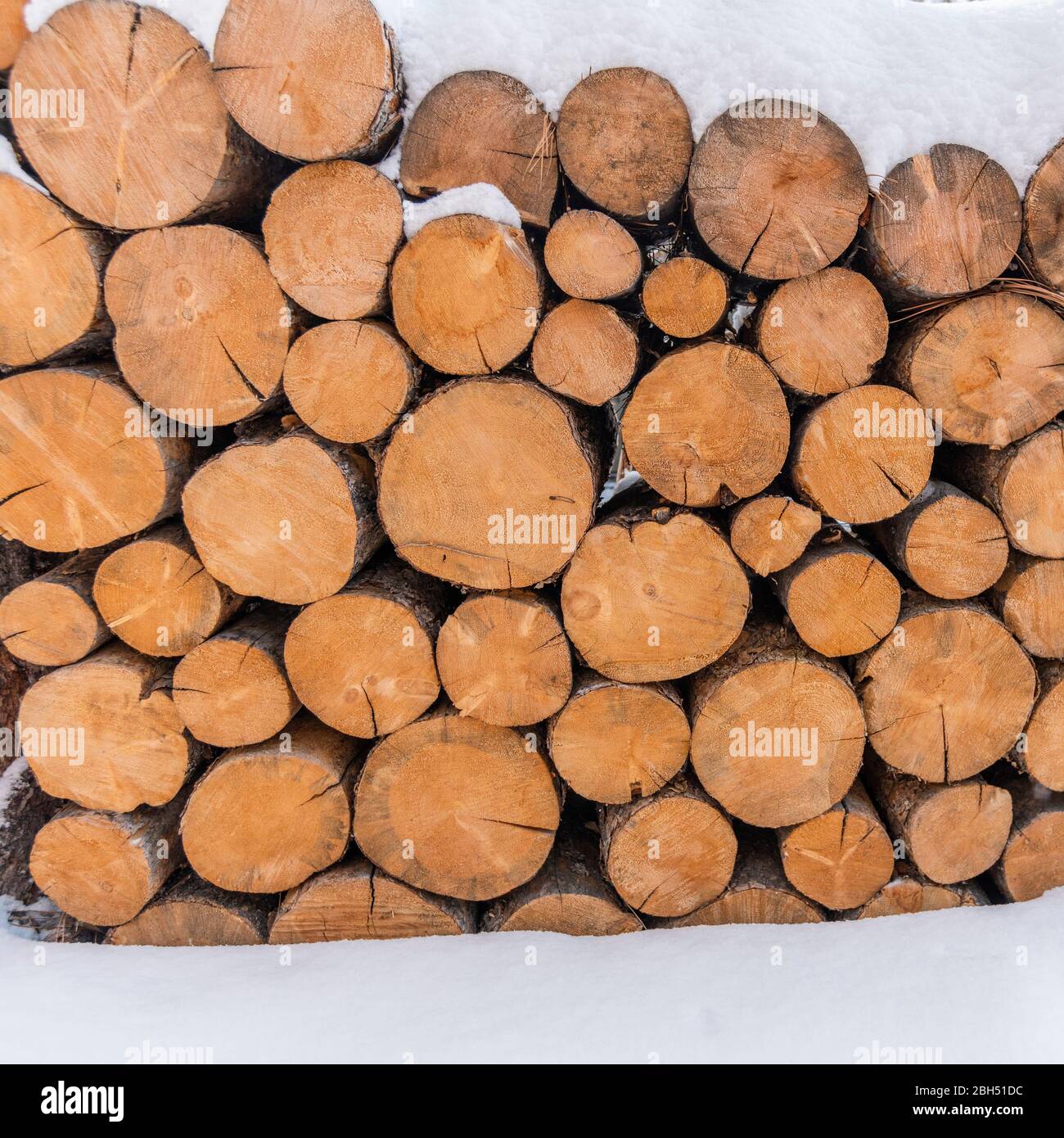 Log snow outdoors hi-res stock photography and images - Alamy