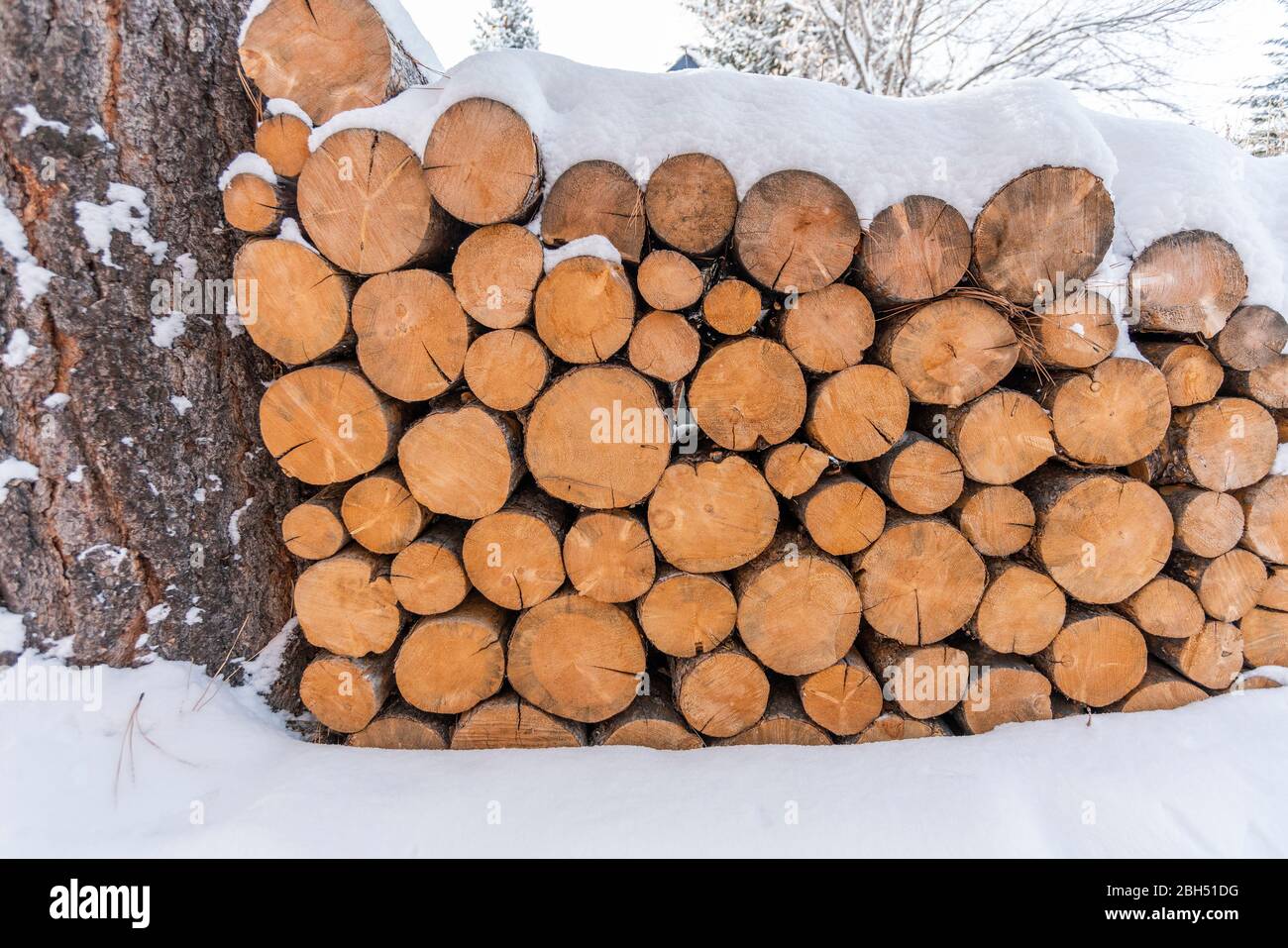 Log snow outdoors hi-res stock photography and images - Alamy
